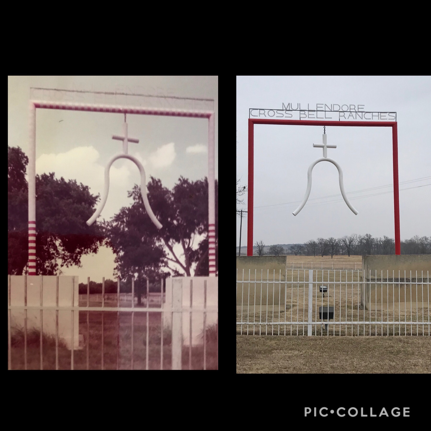 For the Love of Northeast Oklahoma 💚 – Lemon Twist 📝💛